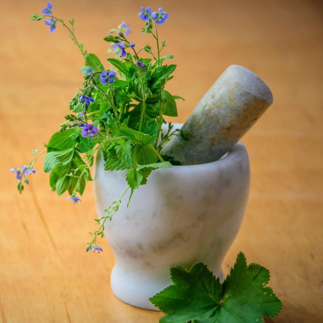 Herbal vs. Homeopathic Remedies: What’s the Difference? | KidsWellness